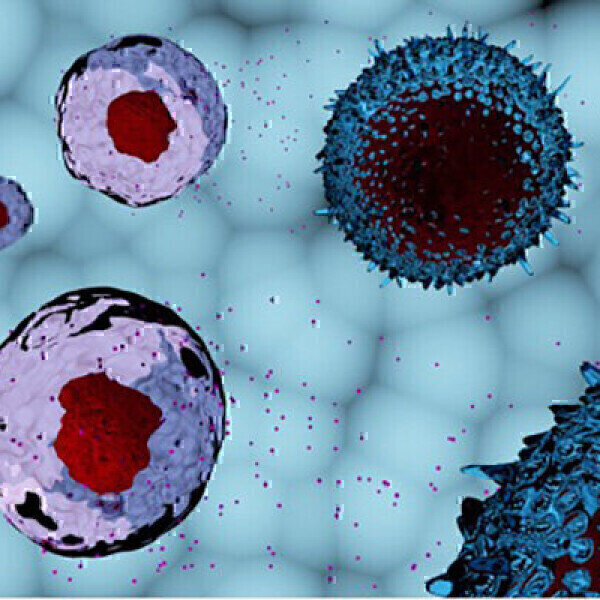 Exosomes: A Promising New Tool for Diagnostic and Clinical Applications - May 30 2023 - Dr Maja ...