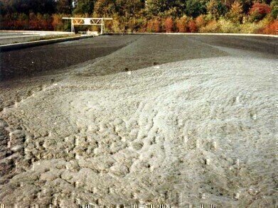 Wastewater Treatment Plant Reduces Foaming & Filaments Pollution ...