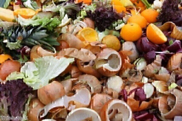 New food waste removal laws in America Pollution Solutions Online