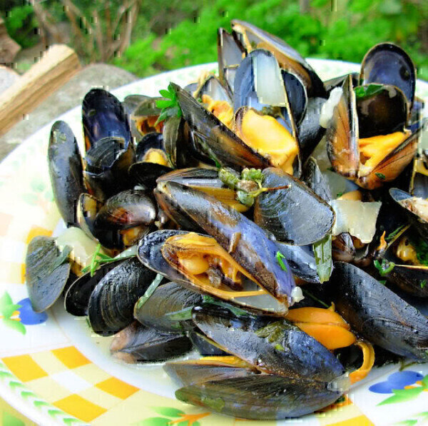 Waste Seashells can Solve Waste Water Problem Pollution Solutions Online