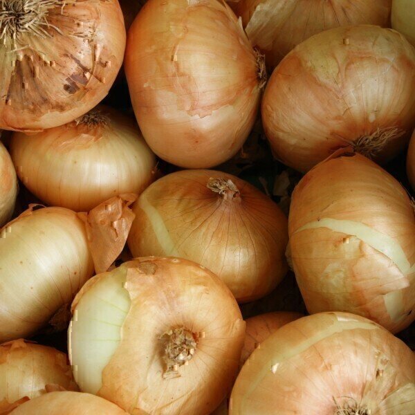 How to Clean-Up Toxic Waste … With Onions & Garlic Pollution Solutions ...
