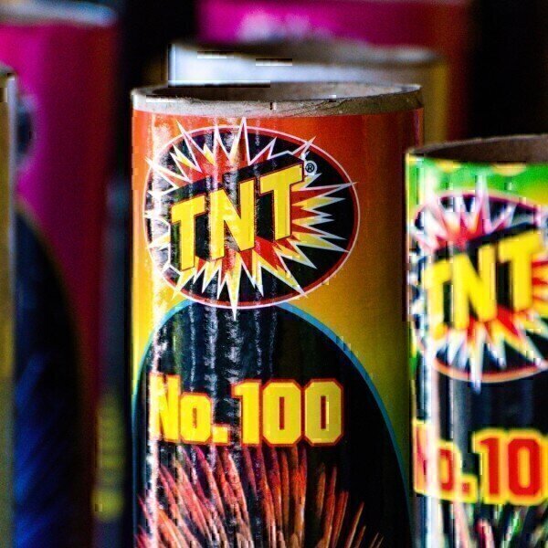 Plant vs TNT – Who Will Win? Pollution Solutions Online